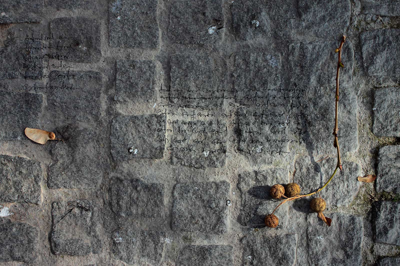 la mirada del Otro | Marcela Jardón